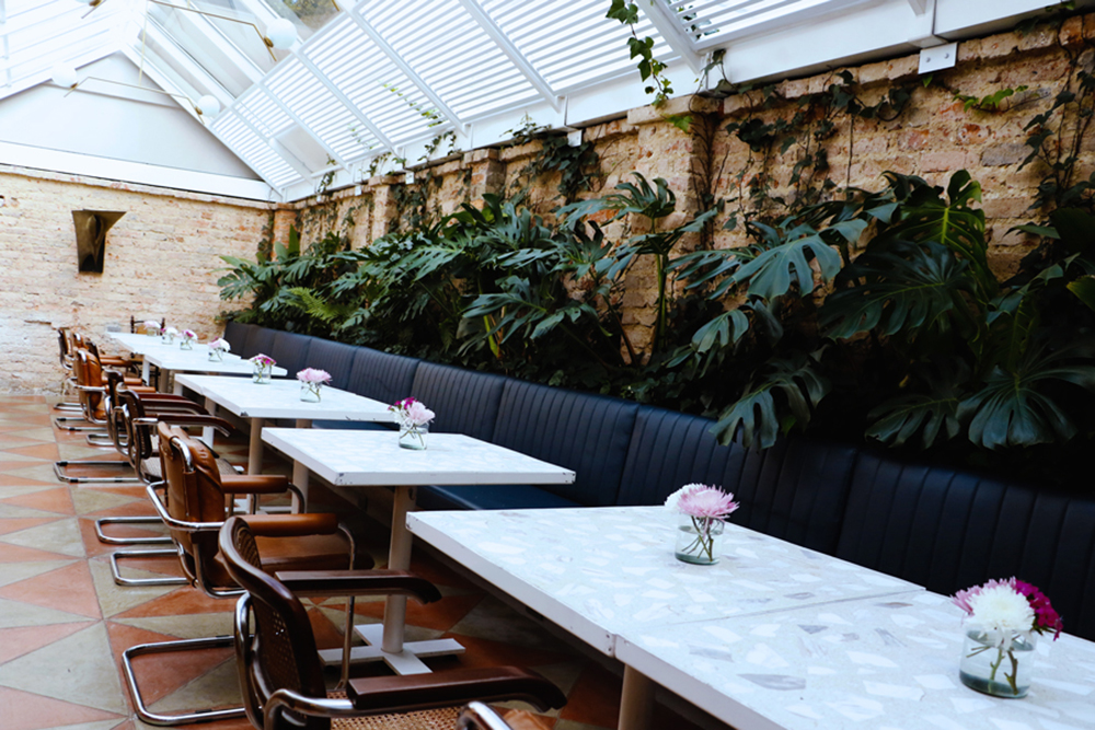 Restaurantes vegetarianos en Bogotá - EXCLAMA